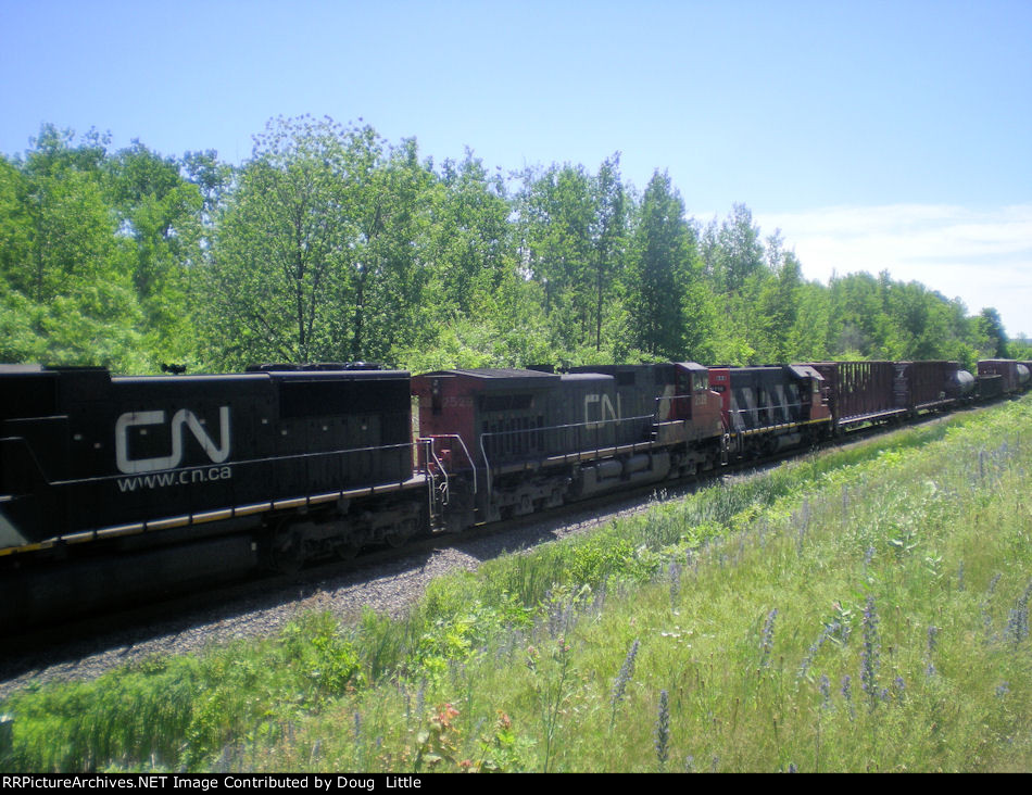 CN 2529